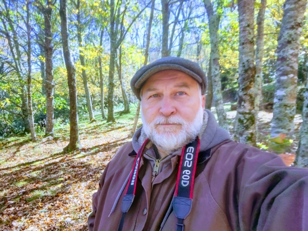 Allen Nice-Webb - Official Website